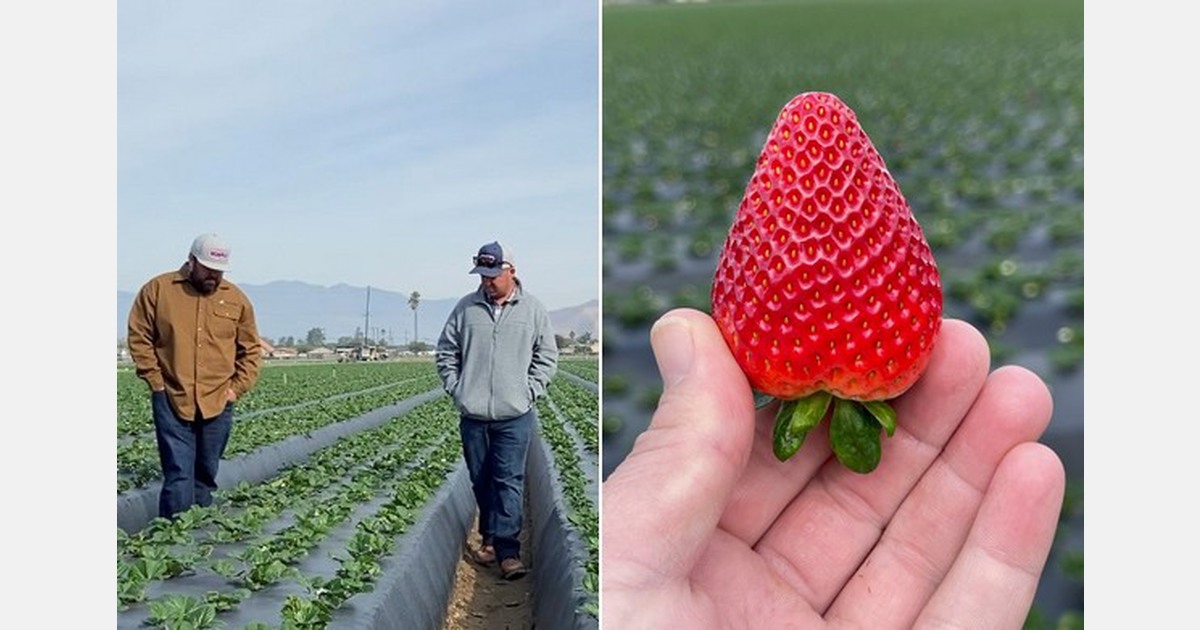 Berry grower expands physically and virtually in 2022