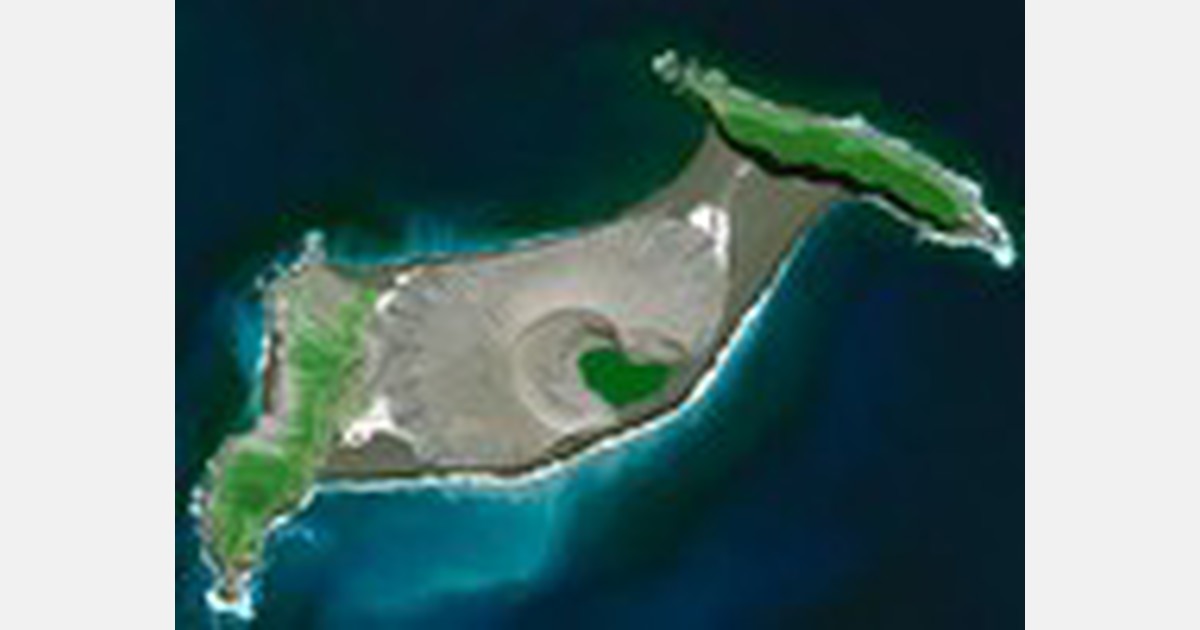 Tonga: Export crops that survived the tsunami could be done in by ...