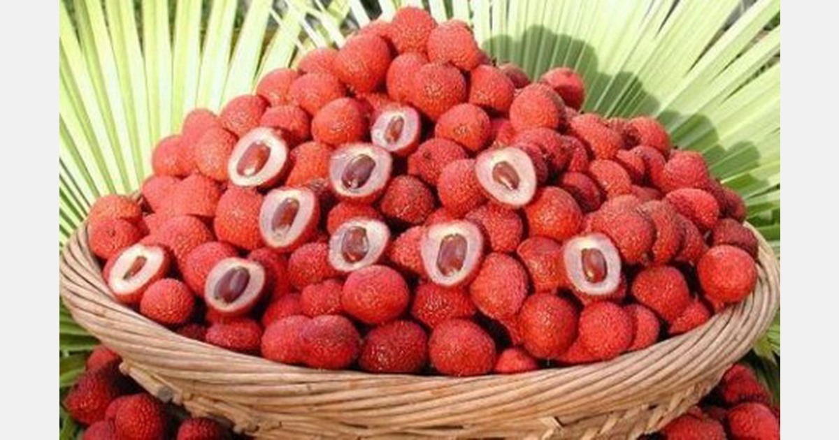 "EcoLychee helps lychees peculiar skin maintain its deep red color for ...