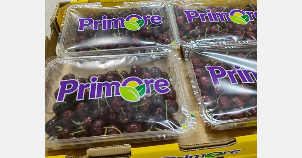 Automated packaging solutions for bulk and retail cherries help relieve ...
