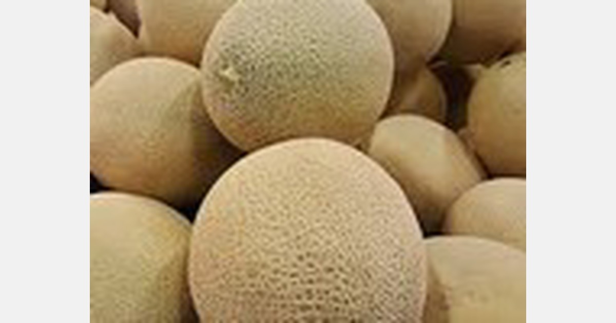Australian melon industry to receive extra biosecurity protection