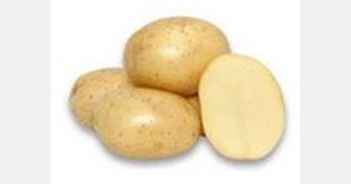 UAE: New, long shelf life potato variety now available
