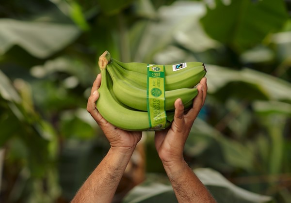 Coliman Bananas celebrates 59th anniversary