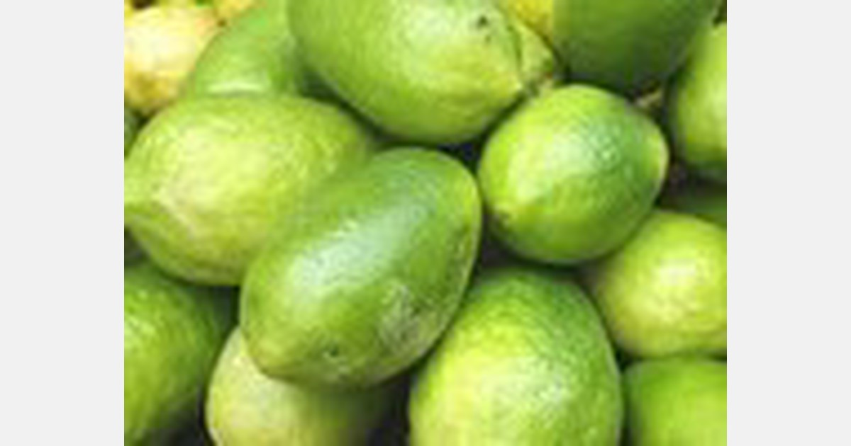 Bangladeshi lemon prices decrease due to Vietnamese imports