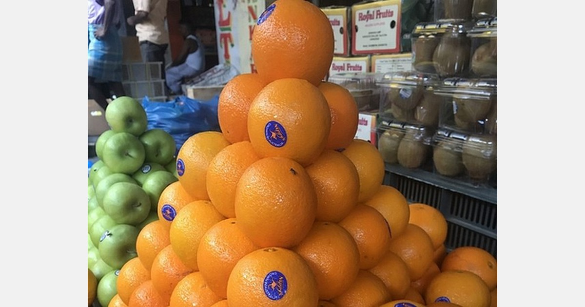 Funding to boost major Australian citrus market expansion in India