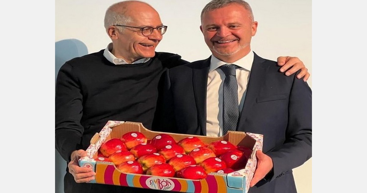 SAMBOA the new brand for the 3 apple-sister varieties Luiza, Venice and ...