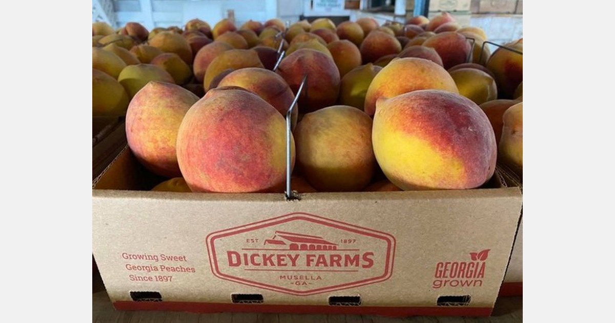 Georgia peaches look to follow successful 2021 season