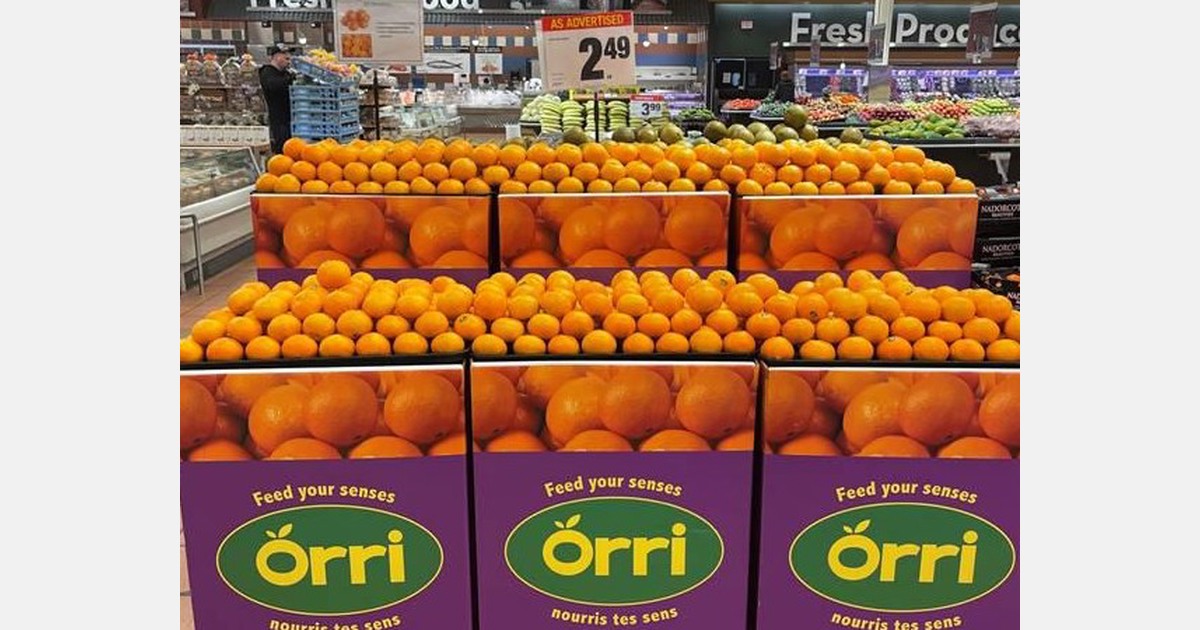 “Challenging” Israel Orri mandarin season nearly over