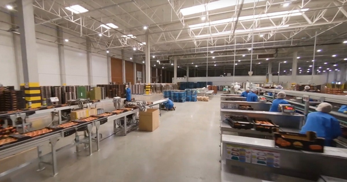 Citronex shows facilities in two videos