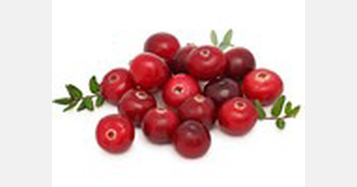 New Jersey cranberry yield highest since 2016