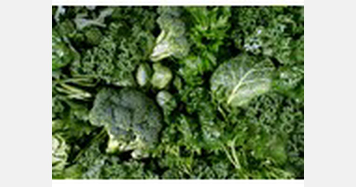 Severe wet weather hampers vegetable production in South East Queensland