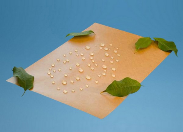 Water-resistant paper brings plastic alternative