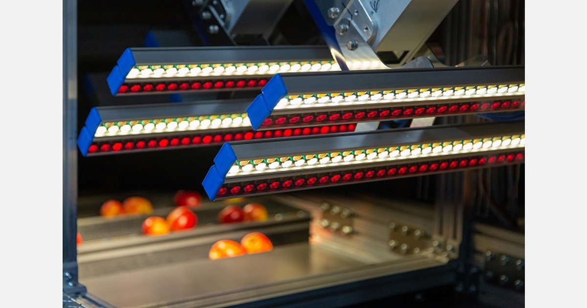 The latest generation of sorting systems can detect hard-to-find ...