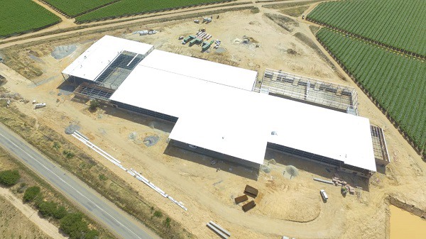 Suiderland Plase’s third and largest citrus packhouse becomes operational