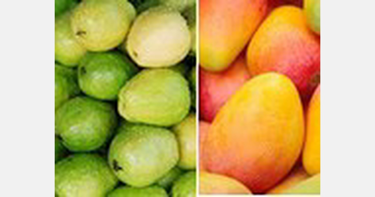 Cappy Delight: Coca-Cola Namibia presents new fruit juice