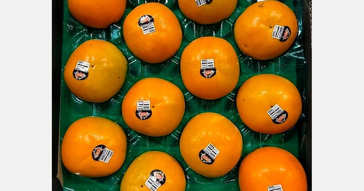 Australian persimmons attracting significantly higher prices for ...