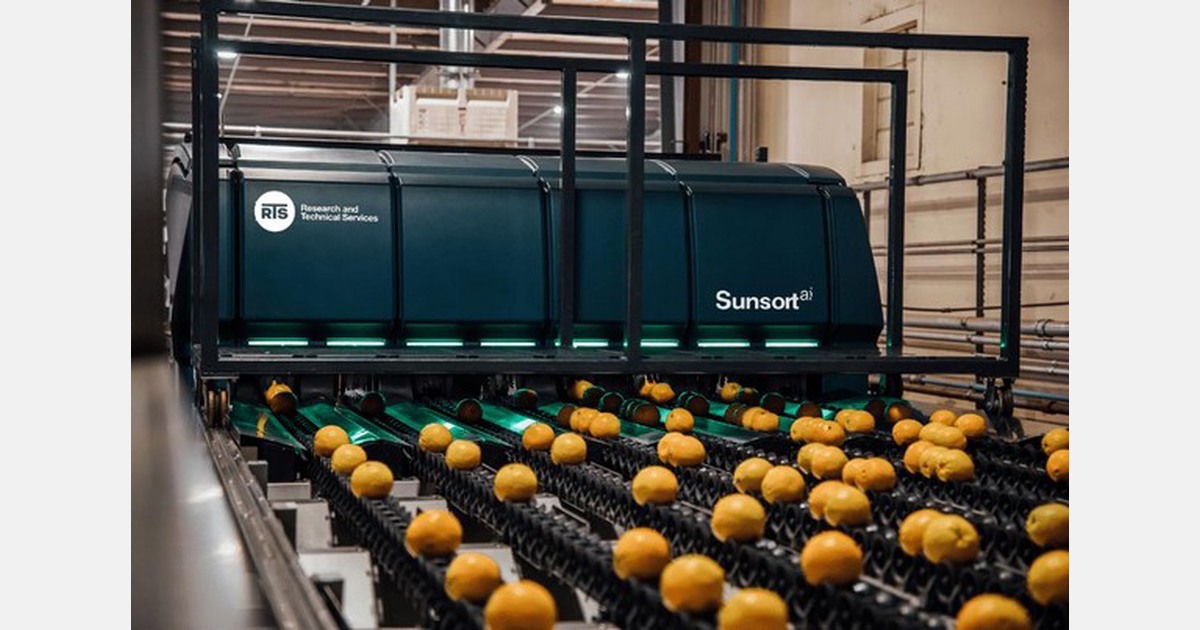 Google AI-powered citrus sorter launches