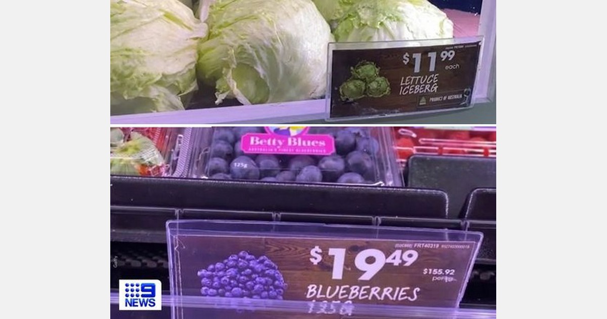 Lettuce prices skyrocketing in Australia
