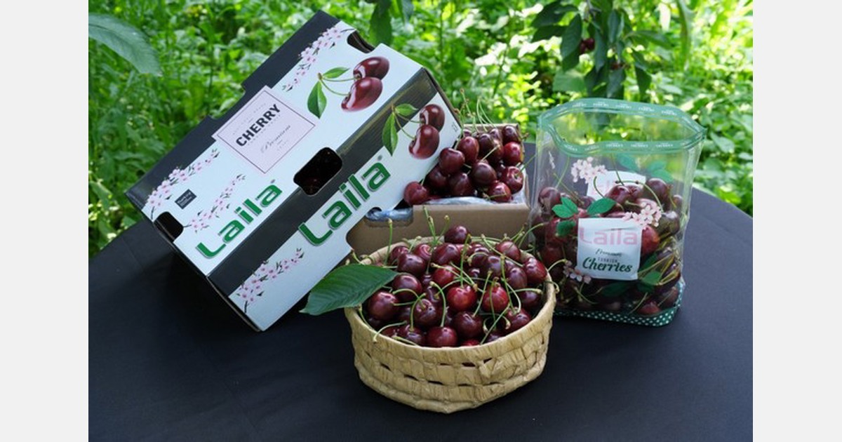 “Demand for Turkish cherries is better than last year”