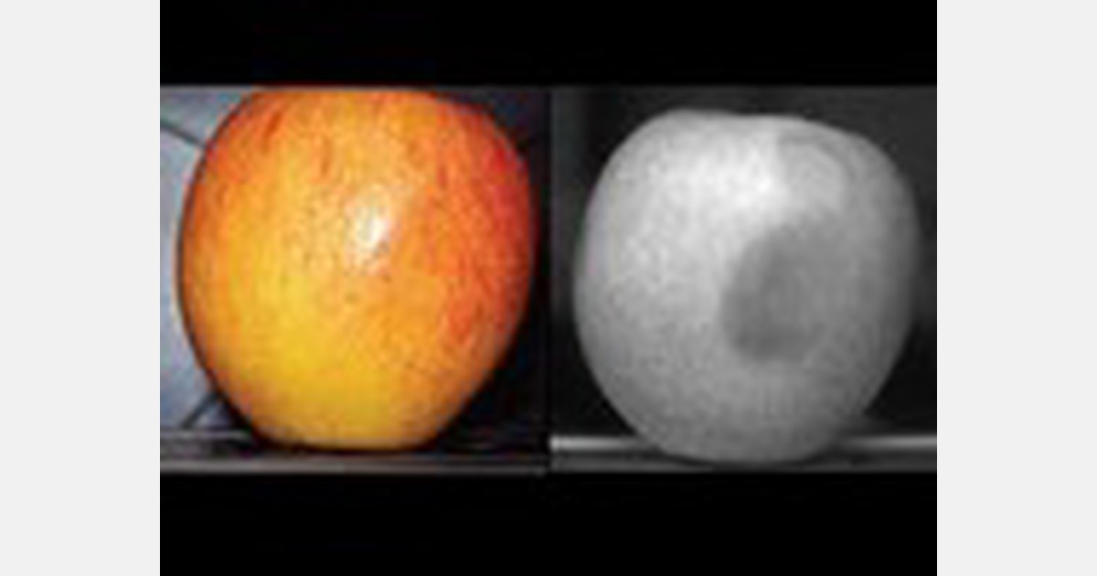 Short-wave infrared imaging used in fruit bruising inspection