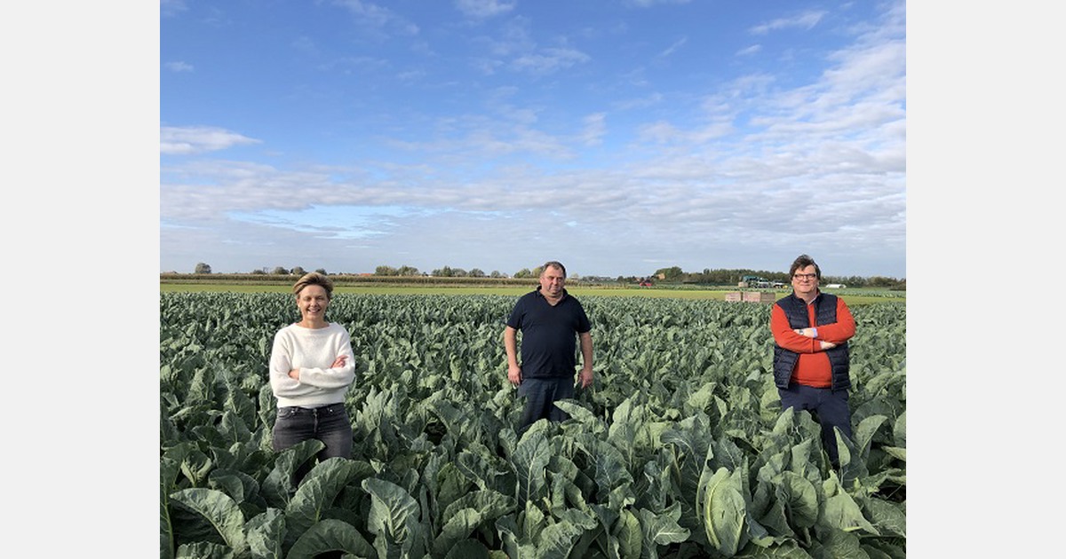 Cautious buyers keep prices under pressure