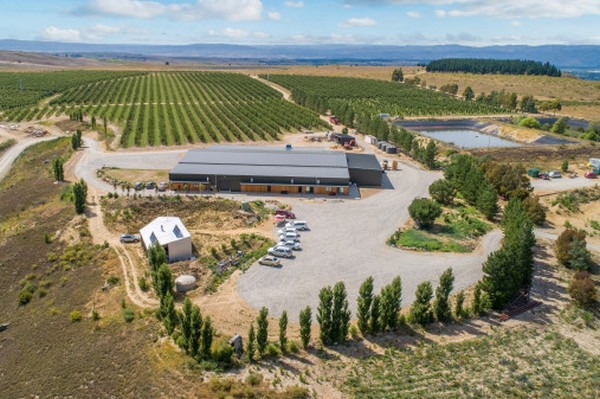 New packhouse shows confidence