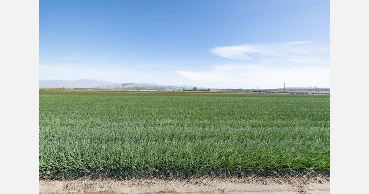 Boskovich Farms focuses on key organic items