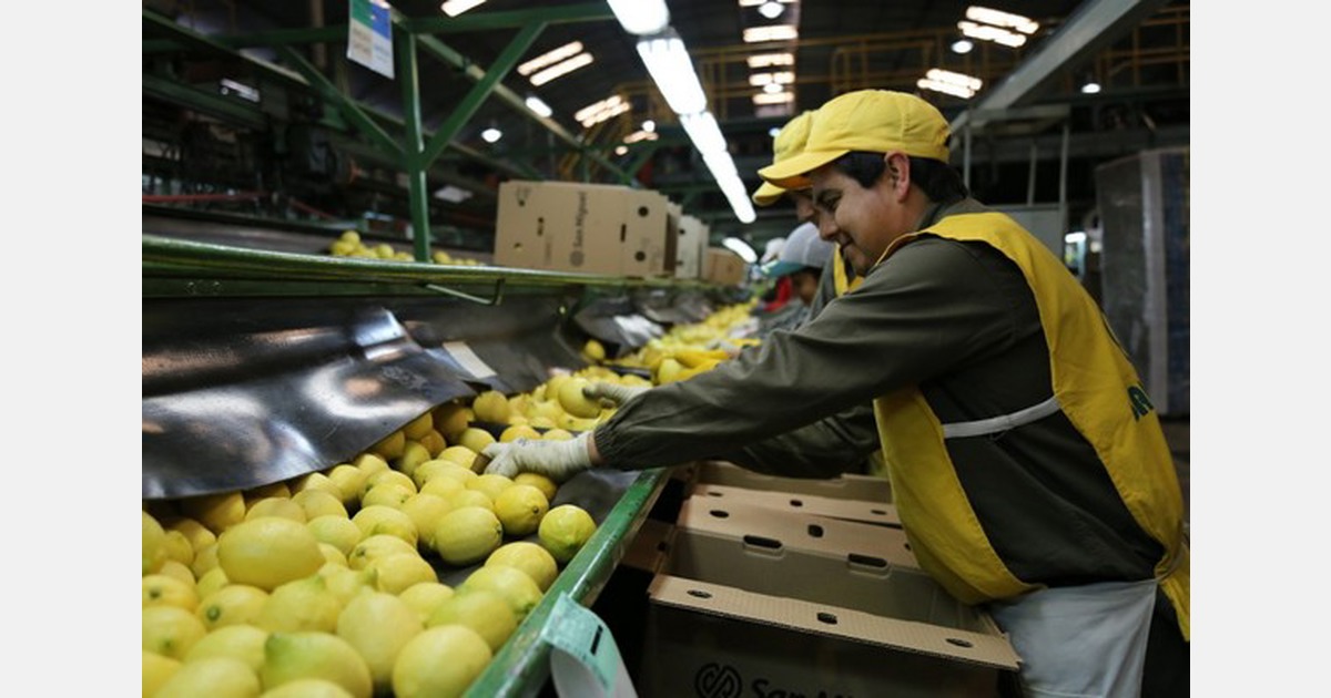 San Miguel sells fresh fruit operations in Peru and South Africa to ...