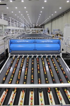 "Now more than ever before, apples require accurate and consistent ...