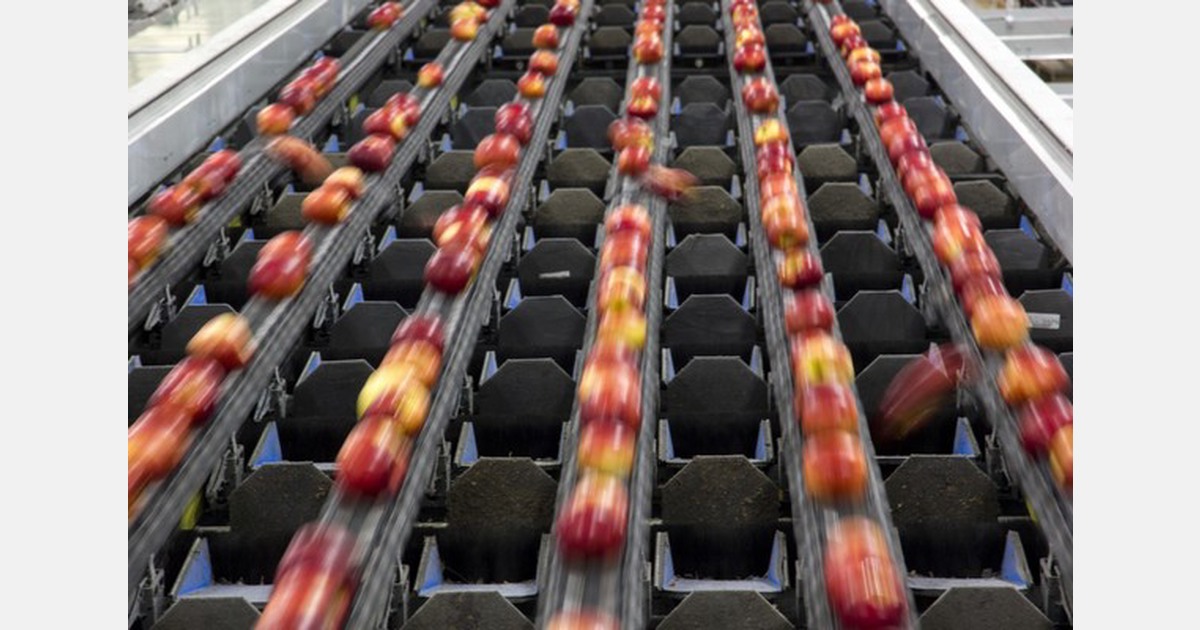 "Now more than ever before, apples require accurate and consistent ...