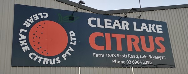 Australian-first Reemoon Fruscan 7 blemish grading technology already ...