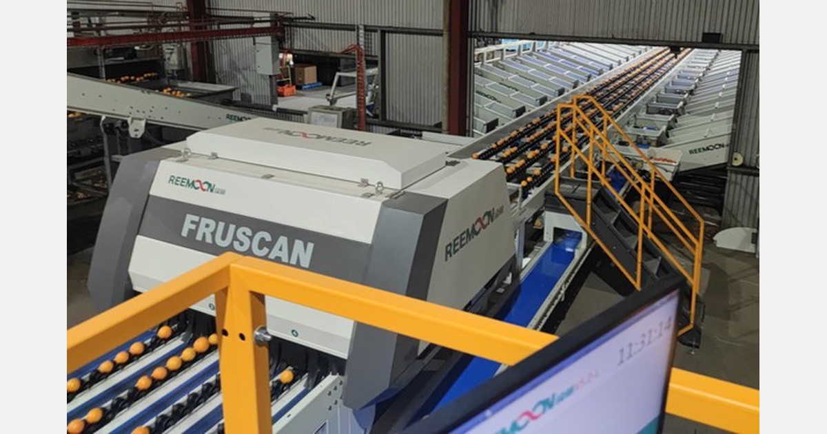Australian-first Reemoon Fruscan 7 blemish grading technology already ...