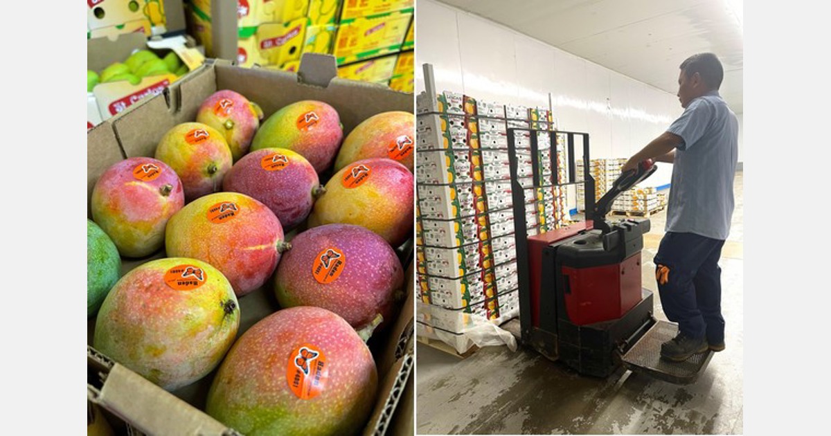Mango pricing could stay strong for near future