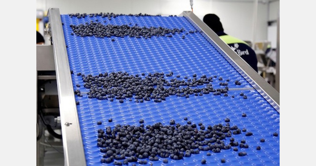 New blueberry storage & processing facility opens in western Georgia