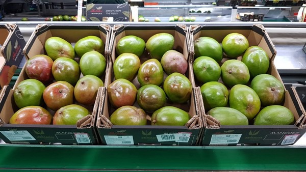 Israel mango season started later and slower