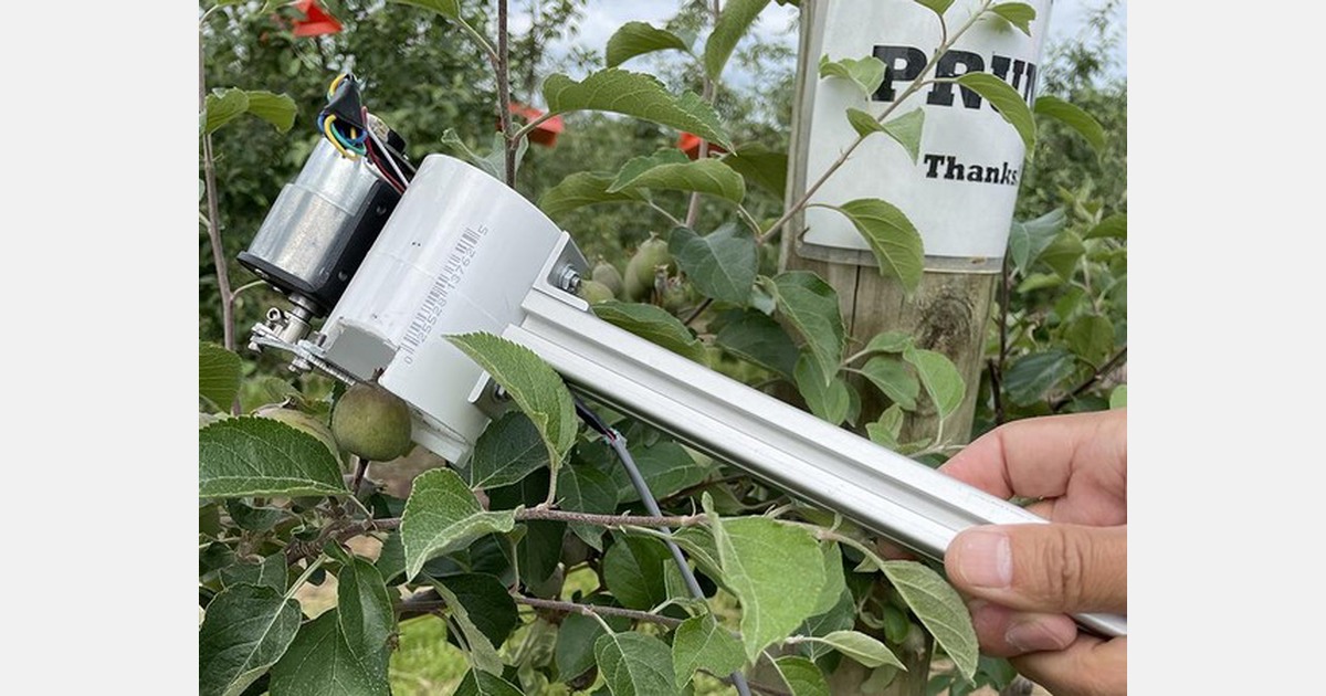 Agricultural engineers design early step for robotic, green-fruit thinning