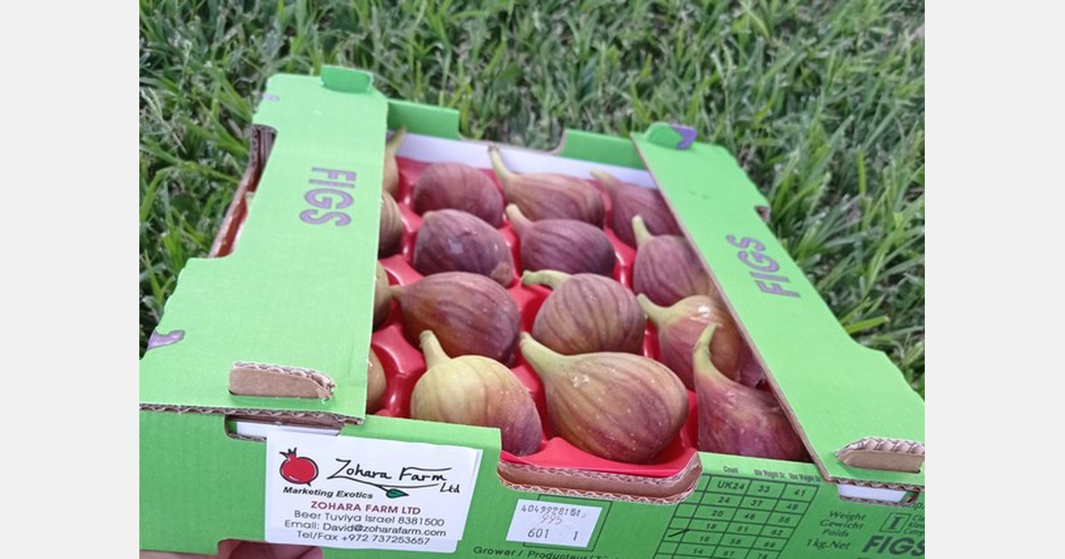 “Israeli figs must not only be seen, but tasted”