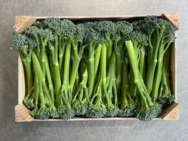 New Bimi Broccoli vegetable now available in supermarkets in France