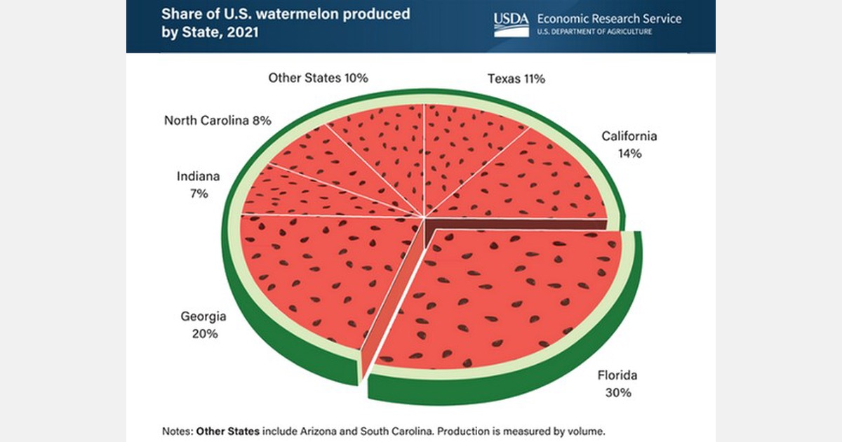 Most US watermelons produced in the South