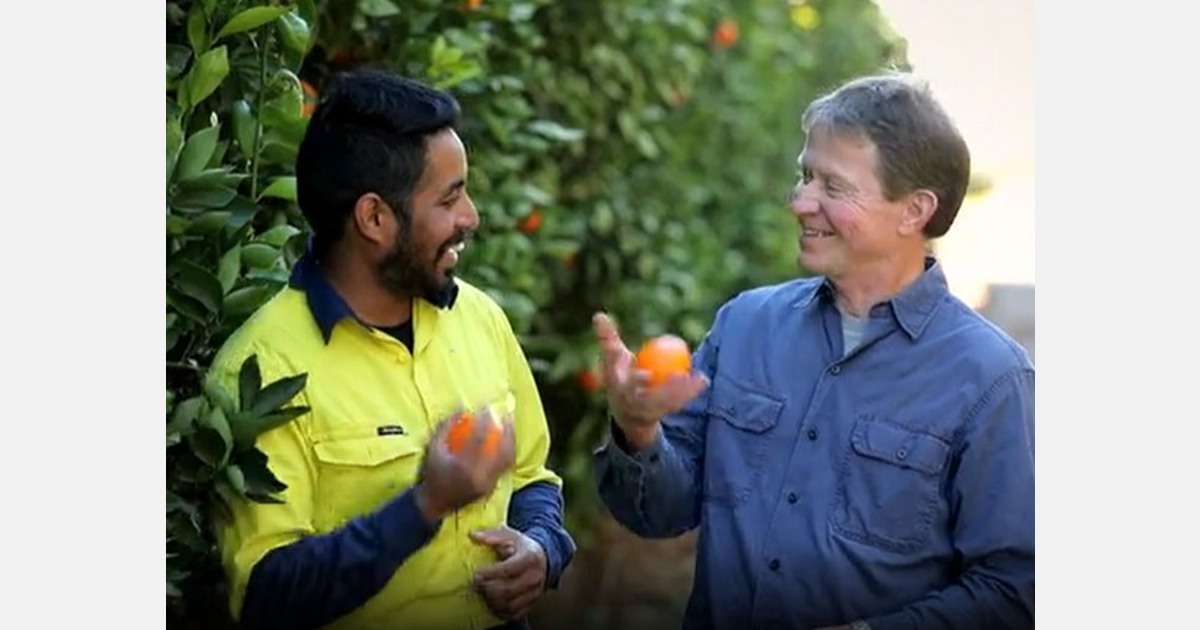 ‘Vitor is one of Costa Group’s premium brands, exporting citrus and ...
