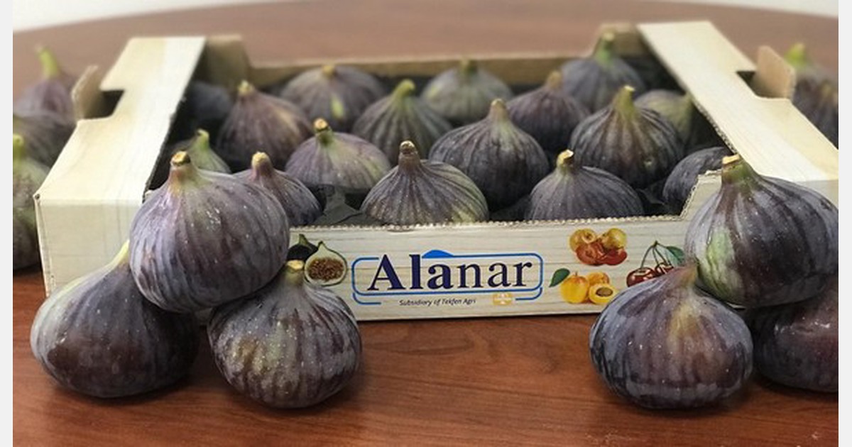 “First trucks with figs have already started arriving at our customers ...