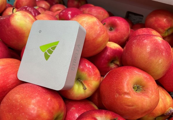 Strella launches automated quality management platform for retailers