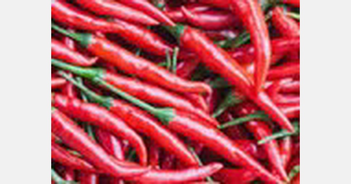 Crops Research Institute meet pepper value chain stakeholders