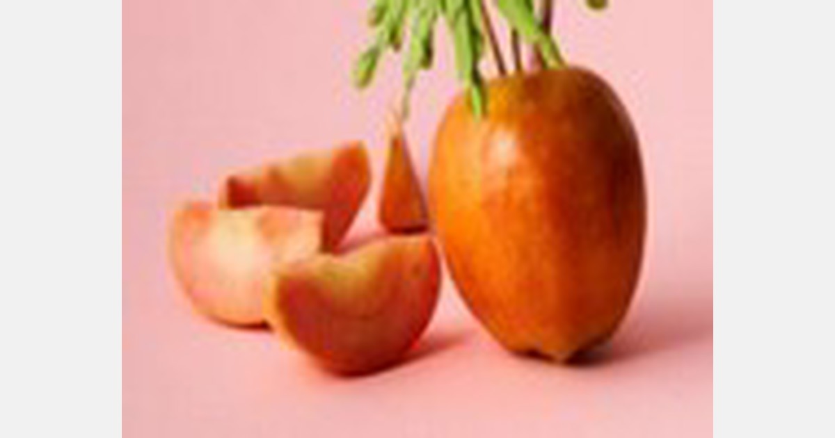 Coregeo and Hochfeld to develop Sunburst apple variety as brand