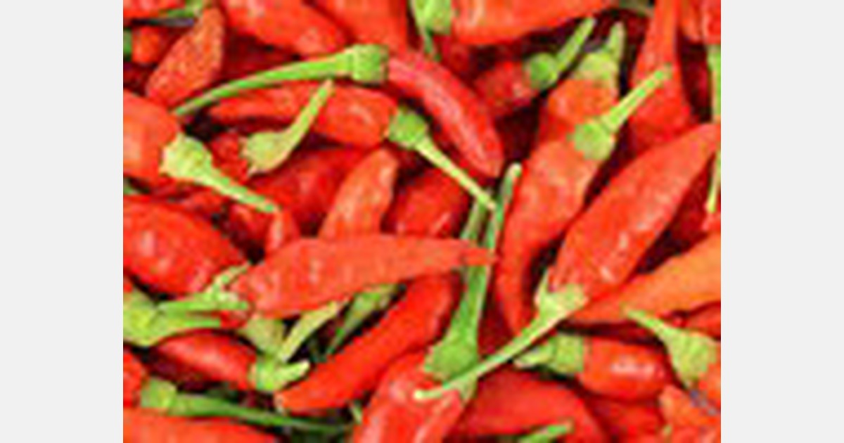 Ghanaian participants to strengthen engagement with stakeholders in ...