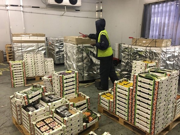 “We have expanded the number of hectares where farms grow crops ...