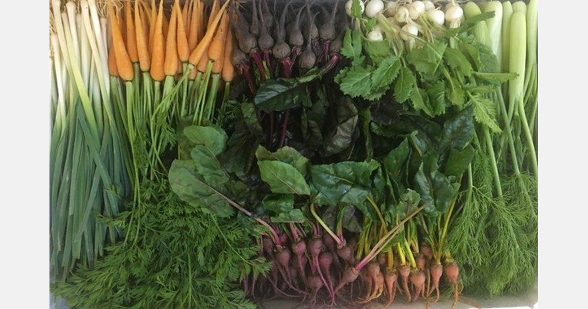 “We have expanded the number of hectares where farms grow crops ...