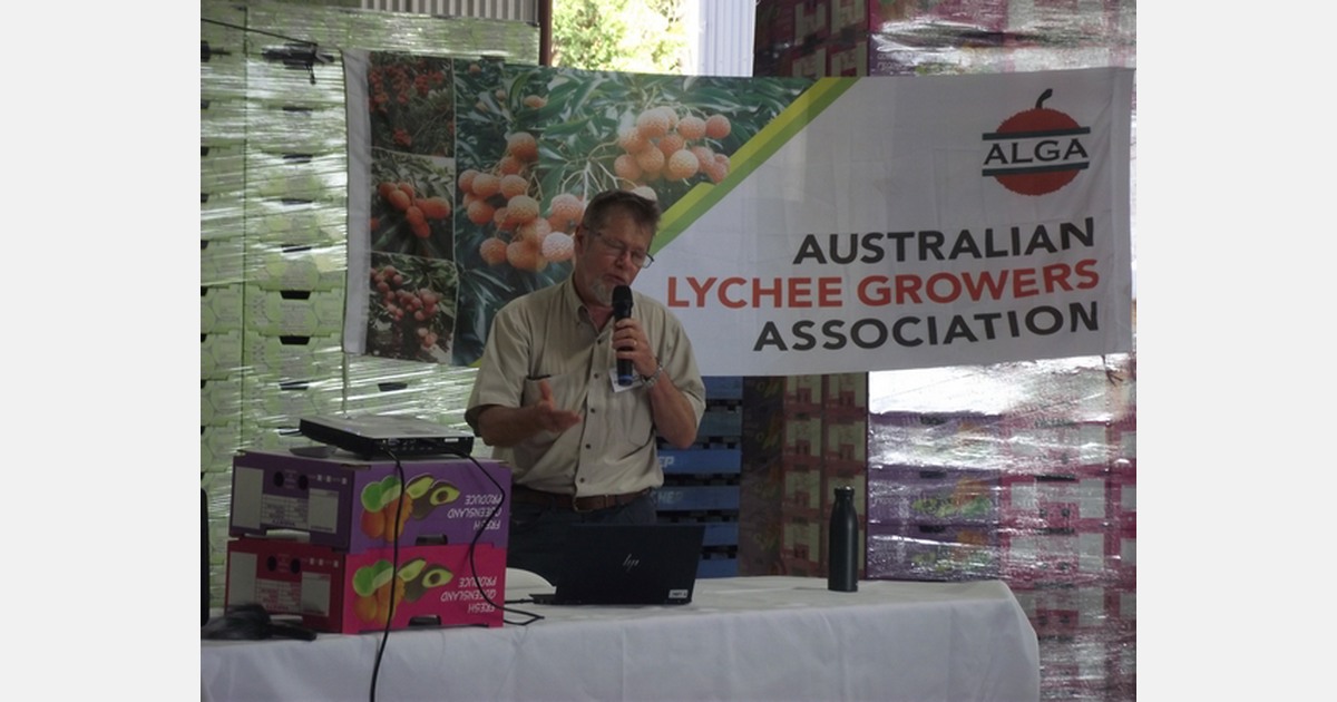 Export preparedness a major focus at the Australian Lychee Growers Association AGM
