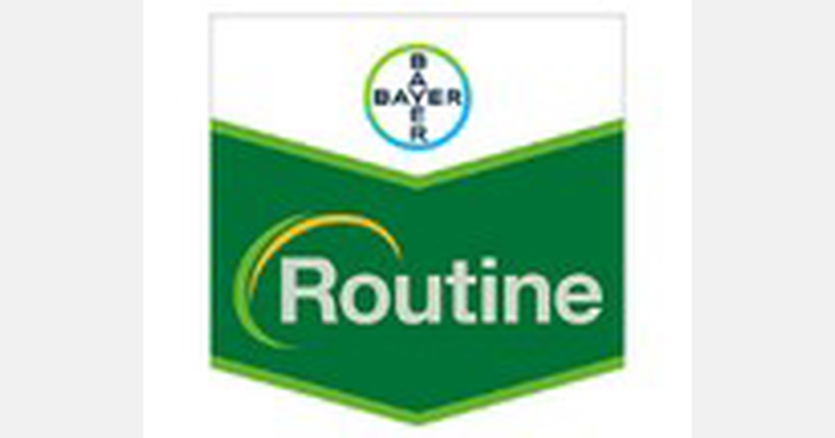 Leap in banana leaf disease control with new Bayer fungicide