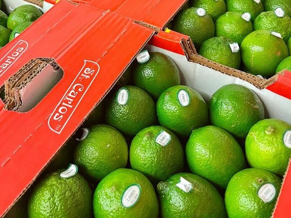 Mexican lime supplies expected to stay slim in the near future
